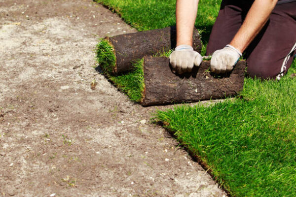 Sod Installation in Preserve at Four Points | Steiner Lawn Care