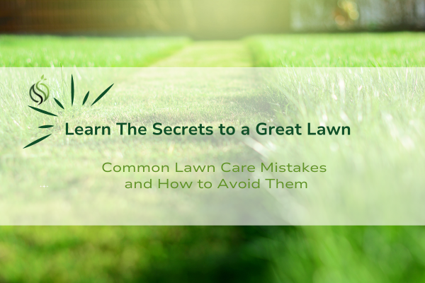 Common Lawn Care Mistakes And How To Avoid Them